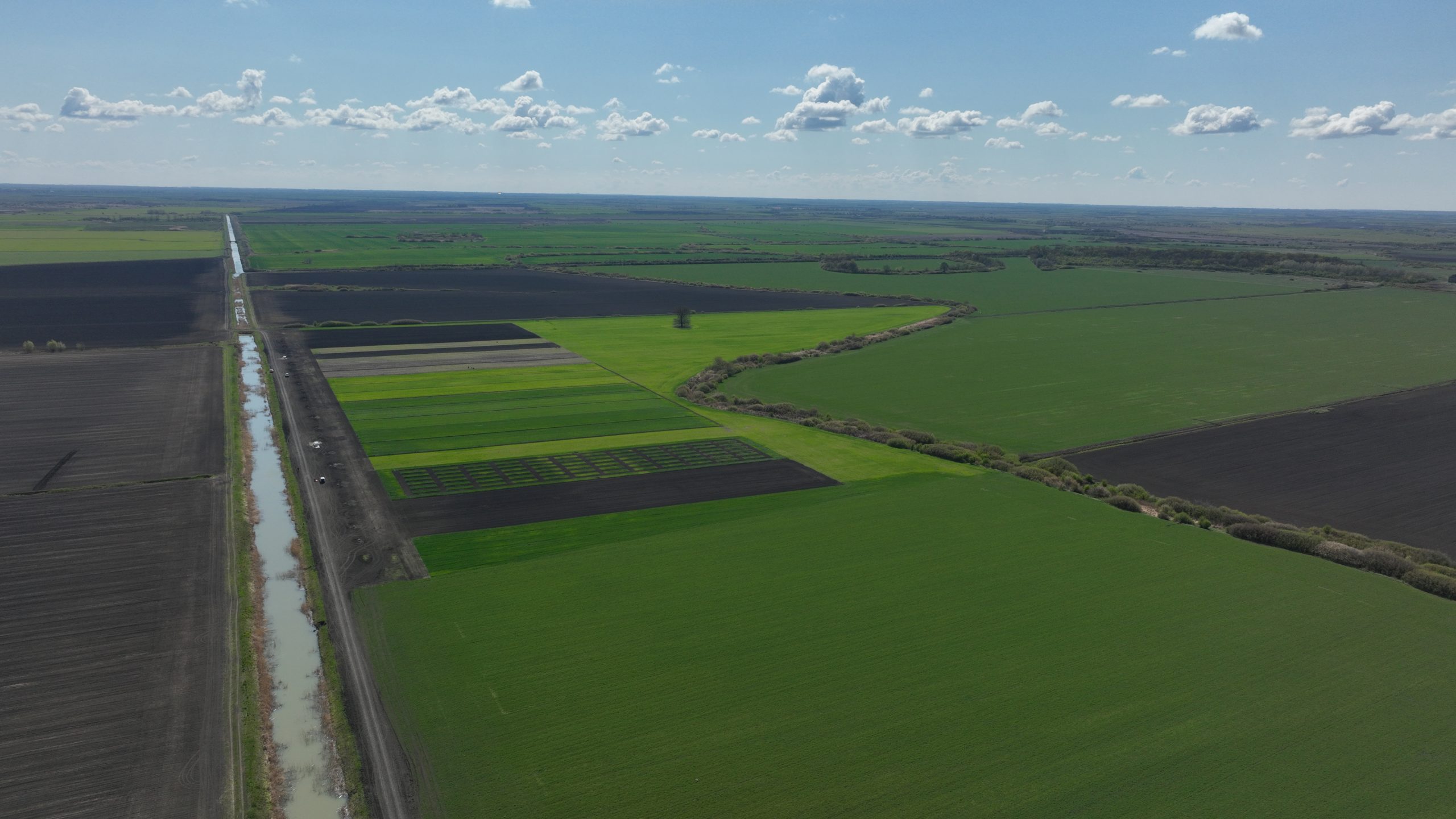 How Do Buffer Zones Protect Organic Food?