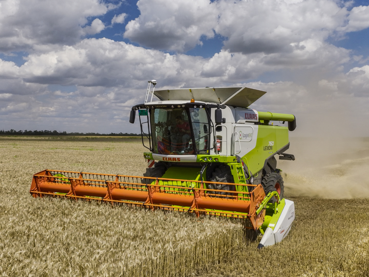 Celebrating Harvest Season with Our Distinctive Approach to Harvesting