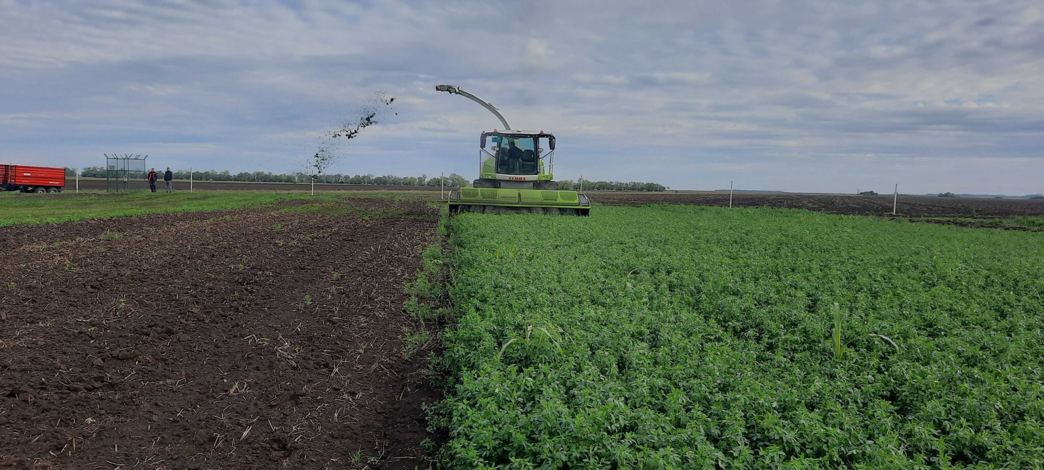 The Success of Organic Oat Harvesting and Storage