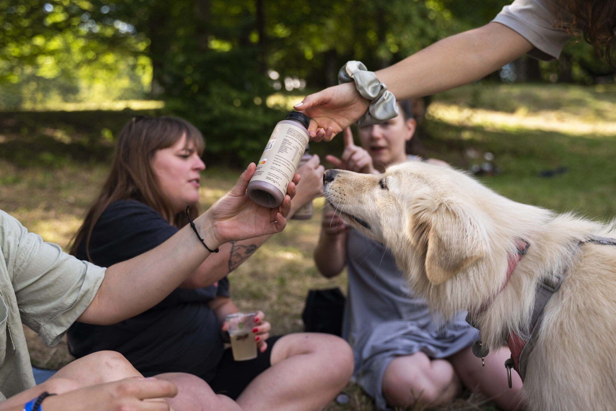 Vibing and Flowing at the Floating Castle Festival