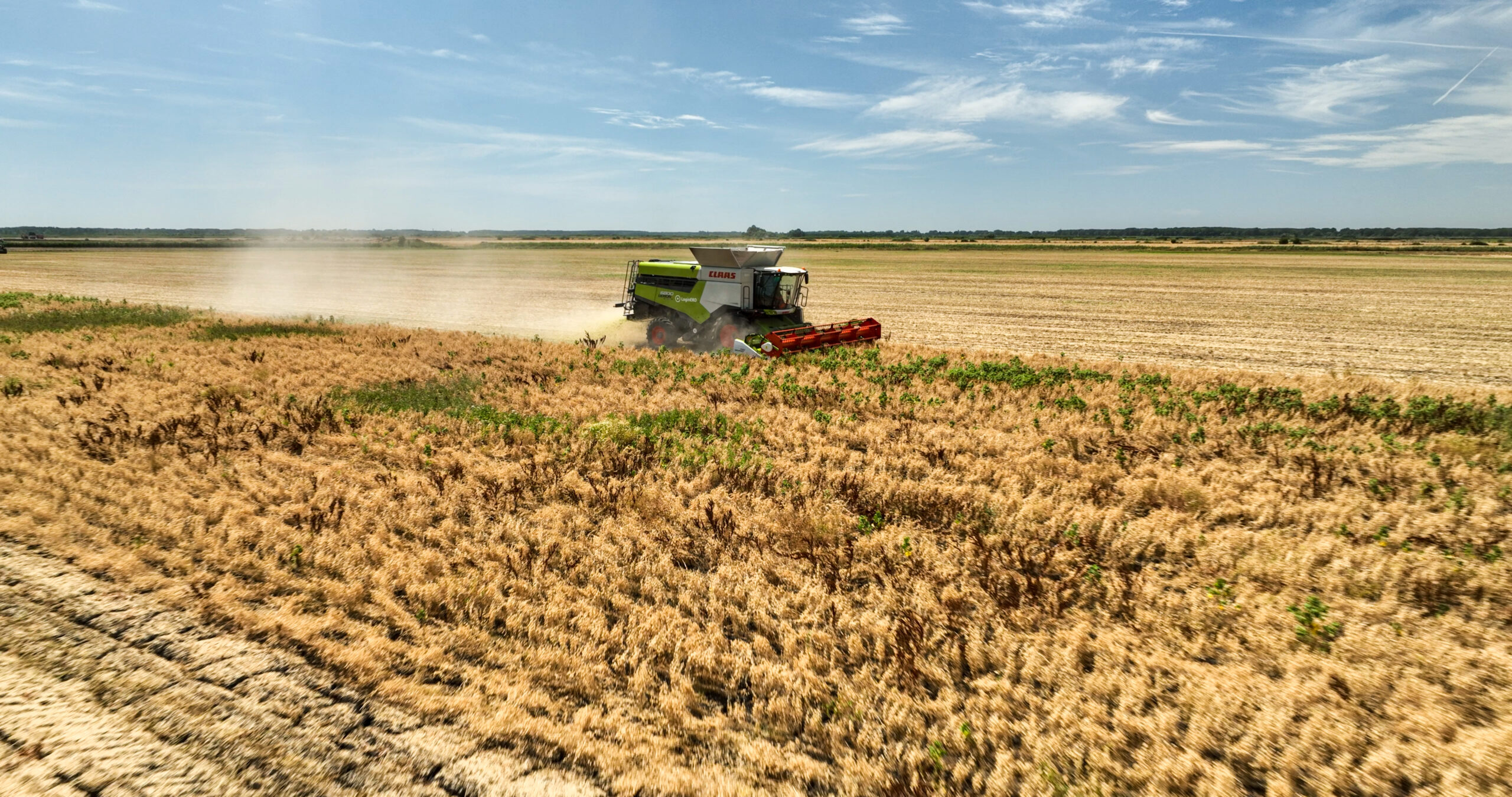 Legumes Cultivation Can Improve High and Stable Grain Yields