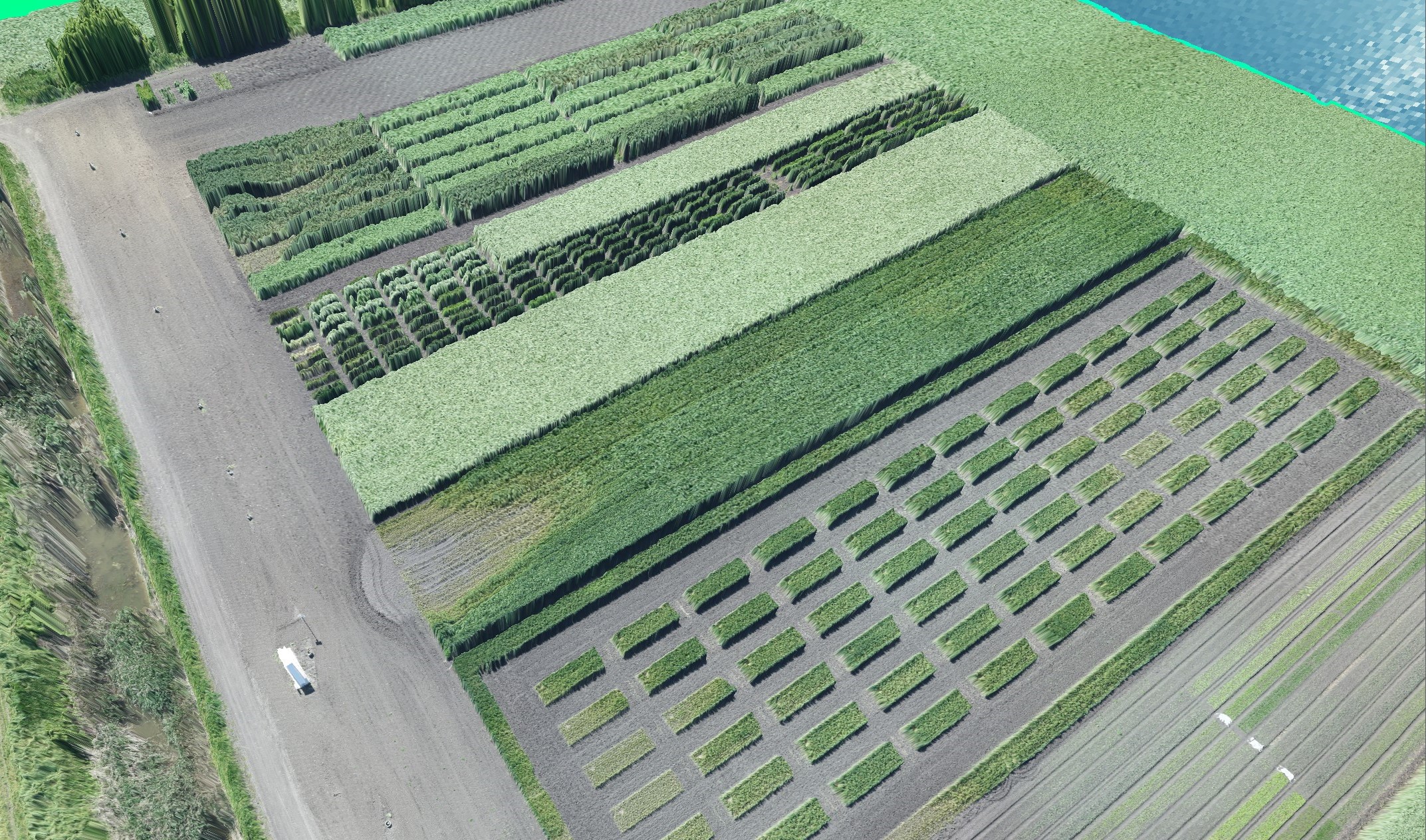 Analyzing Crop Growth with Drone 3D Models