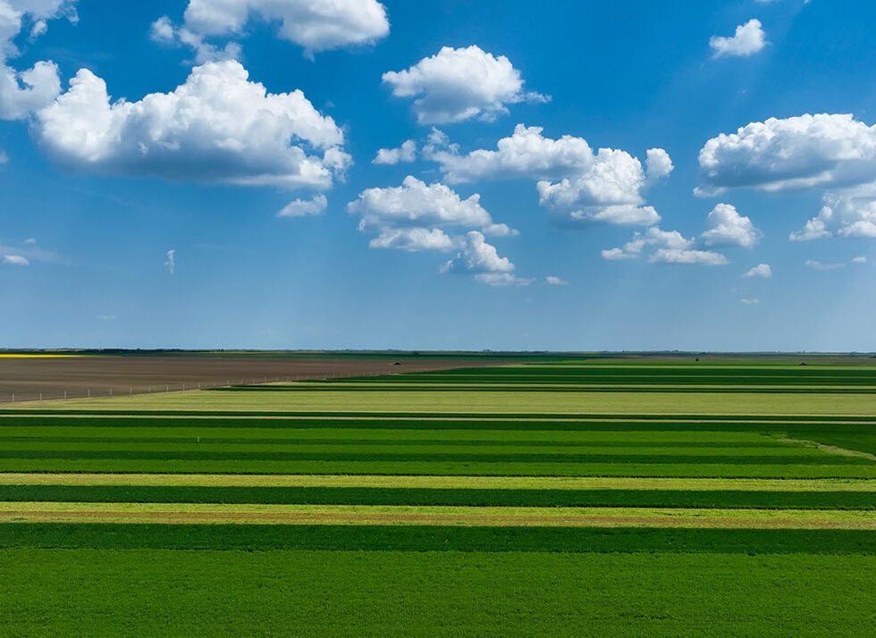 What is crop rotation and why need it?