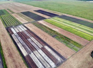 What is Crop Rotation and Why Do We Need It?