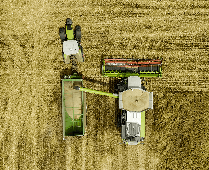 Large-Scale Organic Farming Yields | LoginEKO