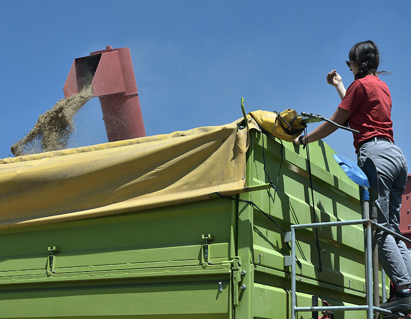 Large-Scale Organic Farming Yields | LoginEKO